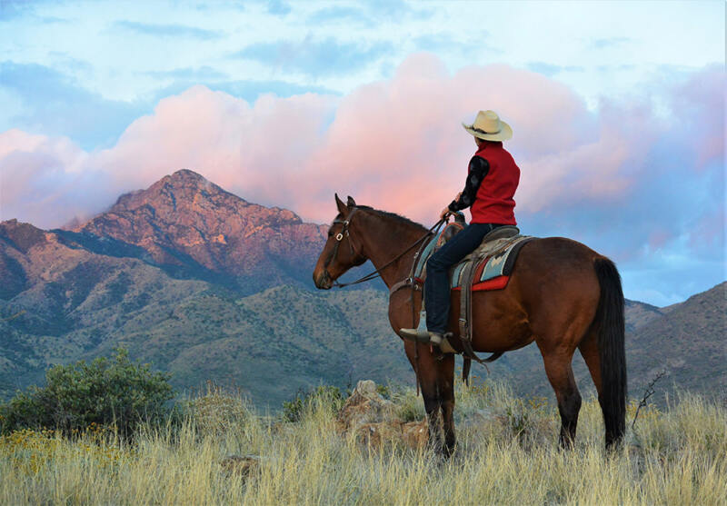 HORSES - Elkhorn Ranch